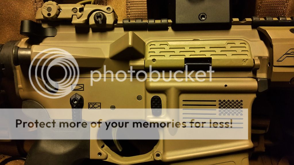 First FDE Build - Page 1 - AR15.COM