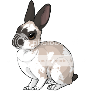 Rabbit Breeding Game Beta Art | Rabbits Online Pet Rabbit & Bunny Forum